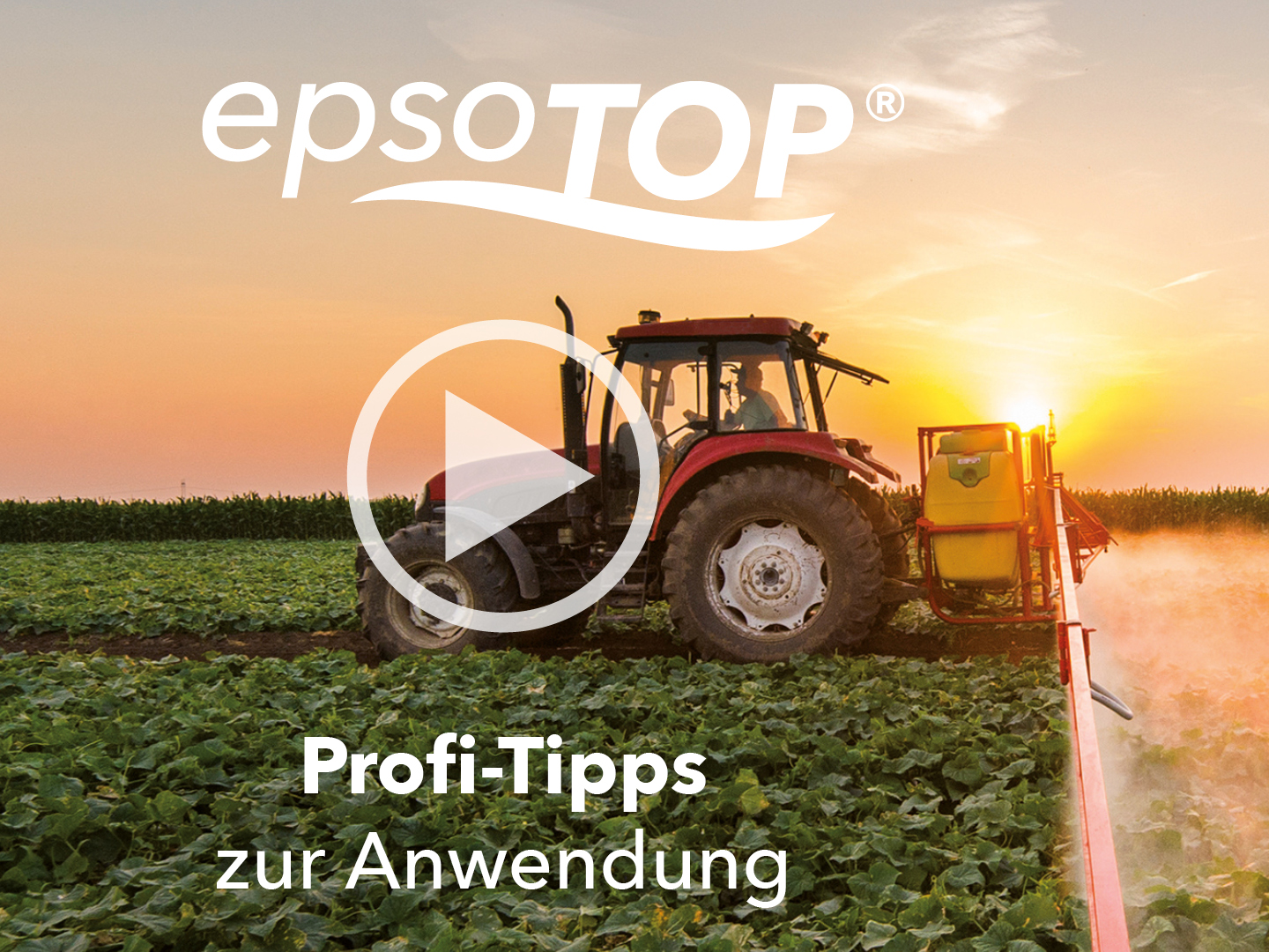 Magnesiumstark | K+S Aktiengesellschaft